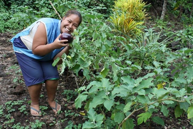 Engaging Youth in Samoa in Organic Farming and Menus: A Farm to Table ...