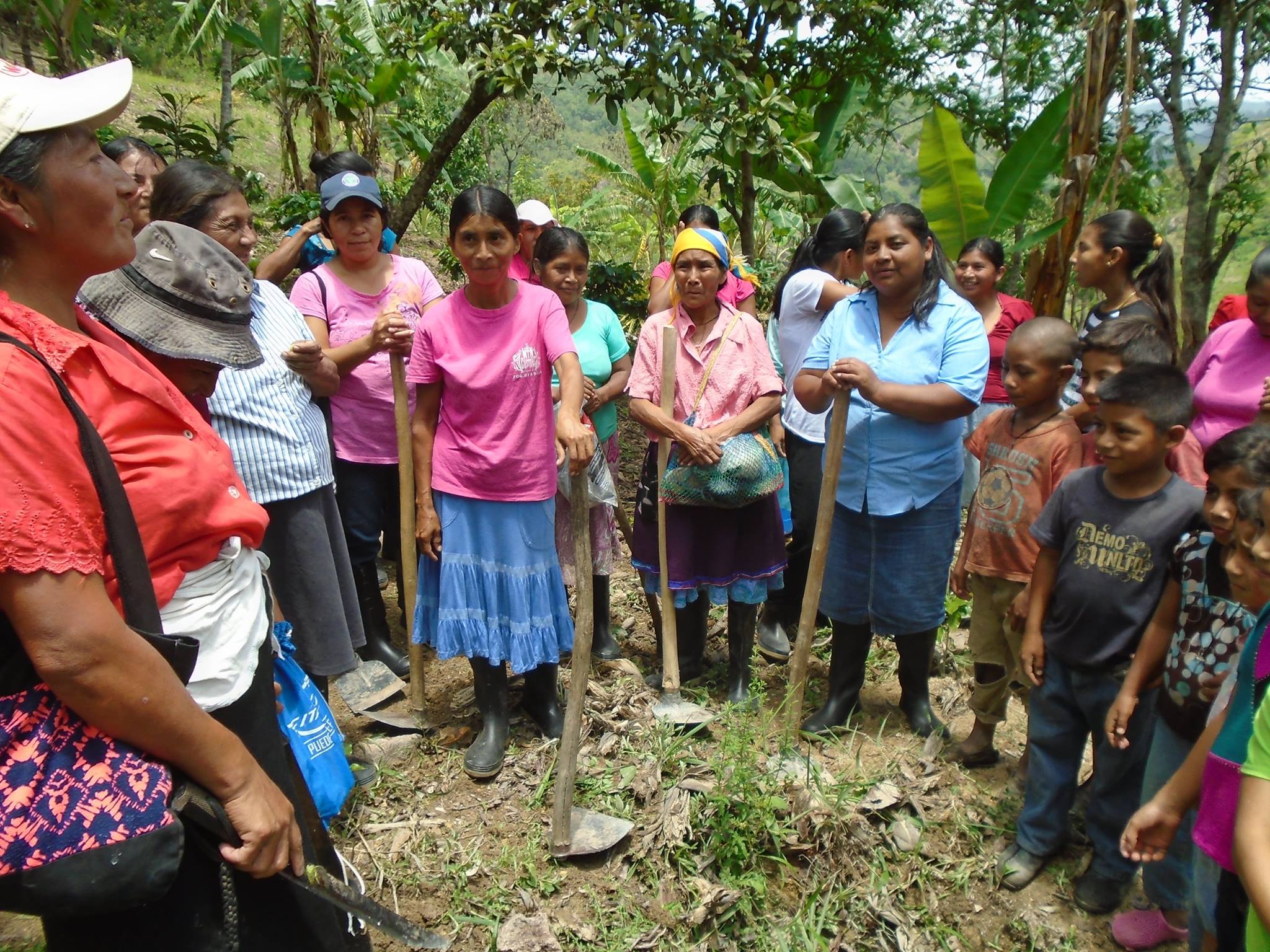 Café orgánico lenca con aroma a esperanza | Sustainable Development ...