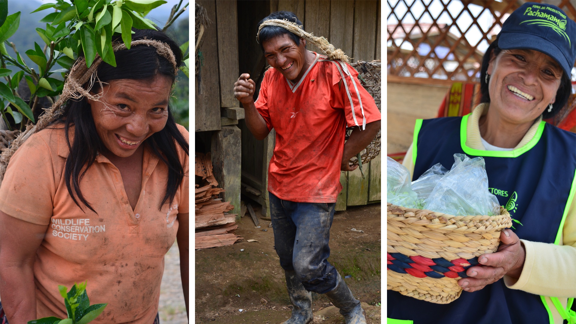 Our food projects | Sustainable Development Goals Fund